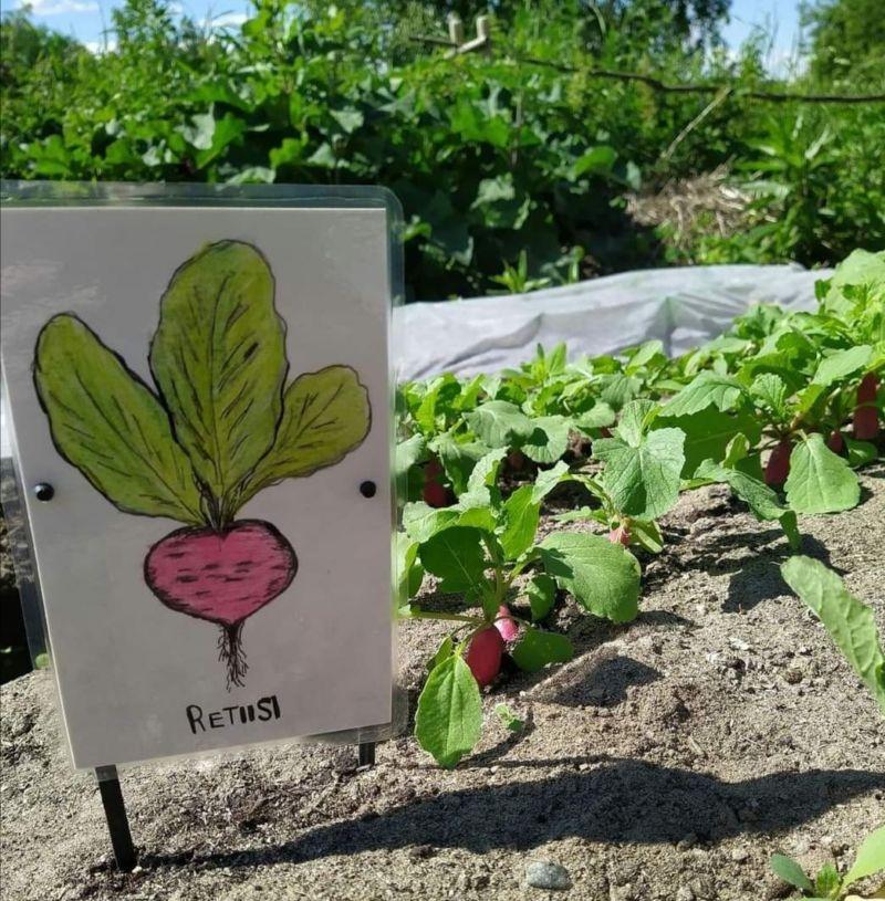 Ajankohtaista Rientolassa - Rientolan Setlementti ry